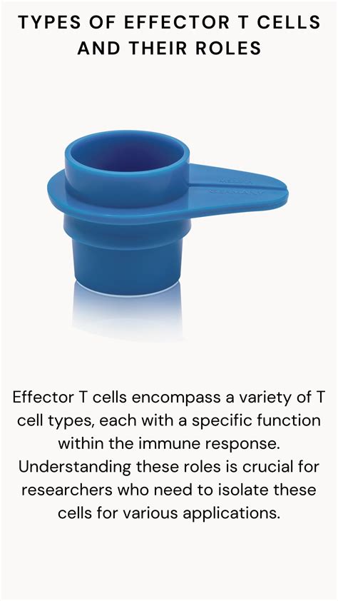 Ppt Optimizing Effector T Cell Separation Advanced Techniques