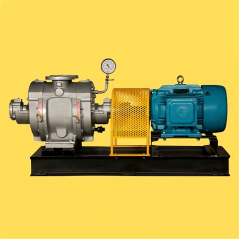 20 Hp Water Ring Vacuum Pump Jd Vacuum Service
