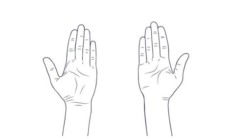 Hand Outline Vector