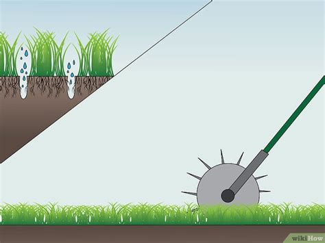 How To Create Green Grass