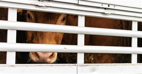 Seven Bqa Sessions Set In Southeast Iowa This Fall