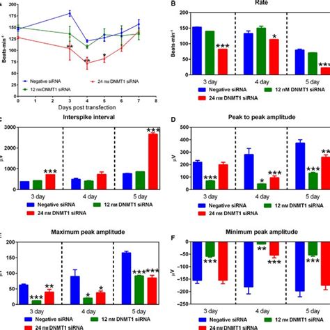 Knockdown Of Dnmt1 Expression Decreases The Beating Rate And Amplitude Download Scientific