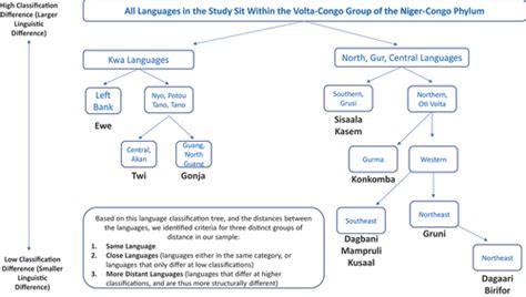 Full Article Silenced By An Unknown Language Exploring Language
