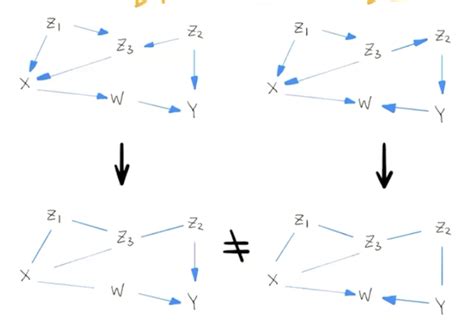 structural causal model data shore