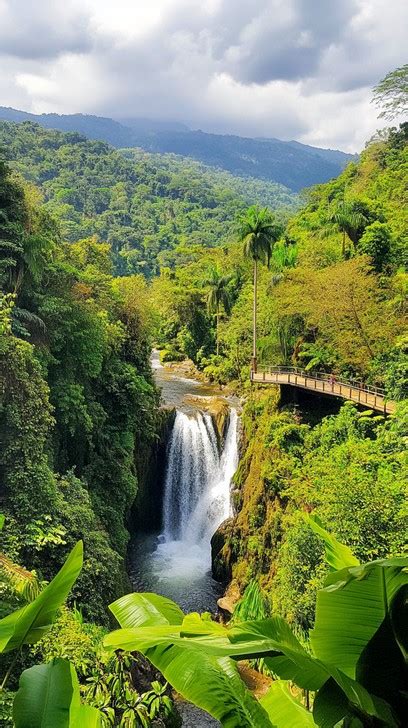 Free Tropical Waterfall View Image Waterfall Tropical Forest