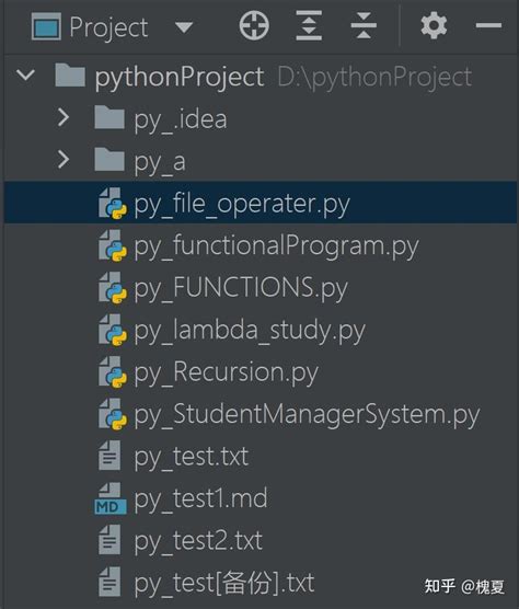 Python