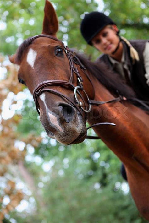 Young Woman Riding A Horse Stock Image Colourbox