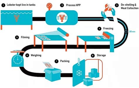 HPP Seafood Ditch The Shucking Knife Use HPP Shucking For Shellfish Meat Extraction
