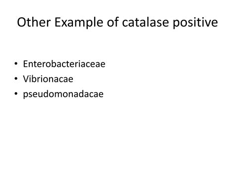 Catalase Test Presented By Dr Mohan Singh Dhakad Pptx