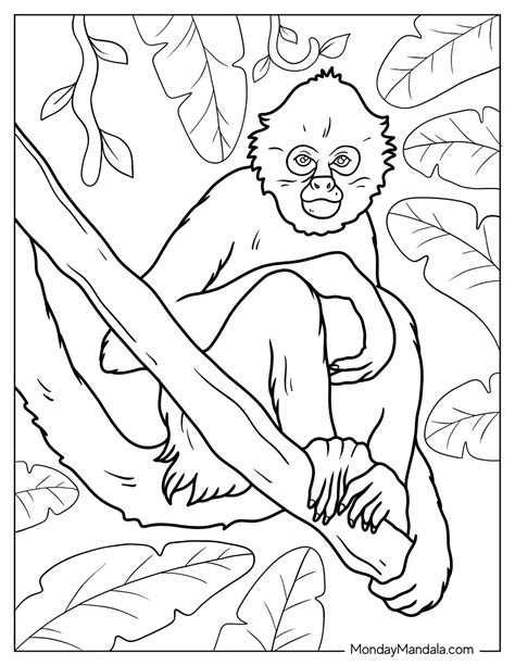 30 Monkey Coloring Pages Free Pdf Printables