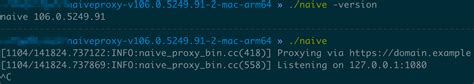 V Segfault On Mac Arm Issue Klzgrad Naiveproxy GitHub