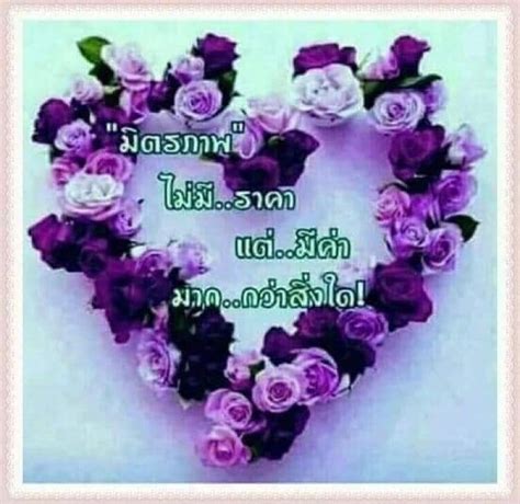 ปักพินโดย Suthiphan Makornkhan ใน สวัสดี วันเสาร์ กุหลาบสีชมพู ดอกไม้สีม่วง สีม่วง