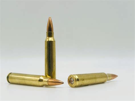 5 56 Vs 223 Whats The Difference Ballistics