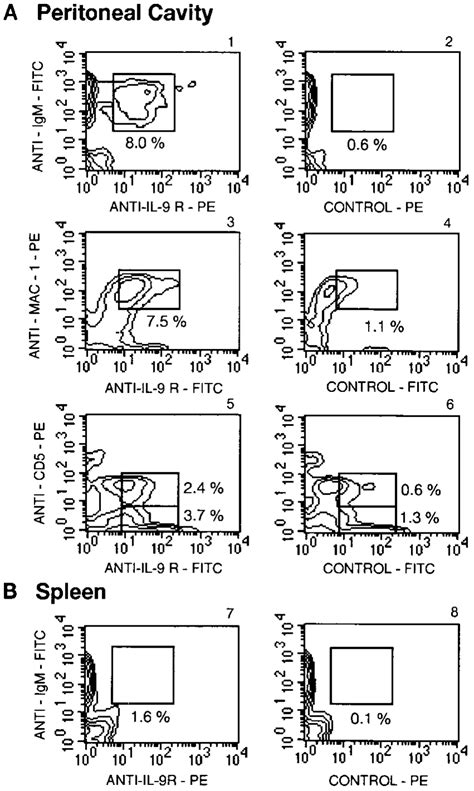 Expression Of The Il 9 Receptor Il 9r By Peritoneal B 1 Cells From