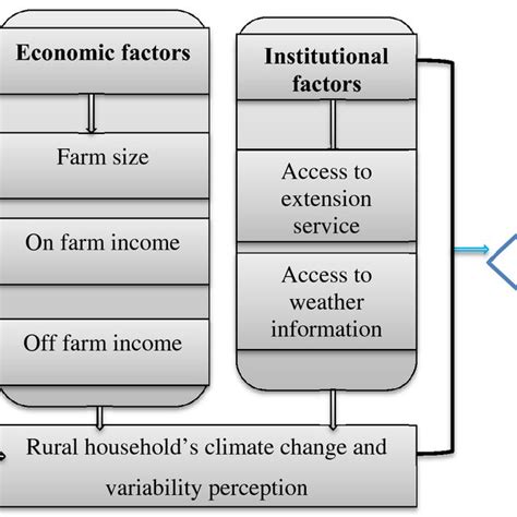 Conceptual Framework For Factors Affecting The Choice Of Adaptation