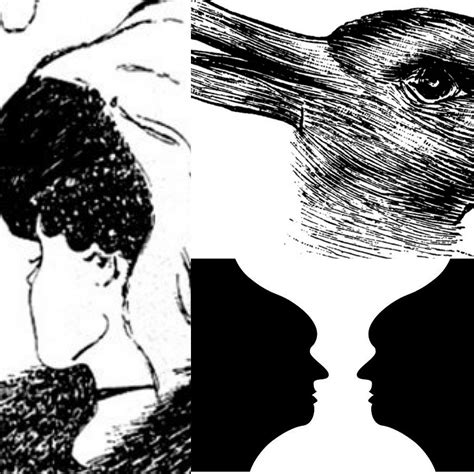 optical illusions two pictures in one