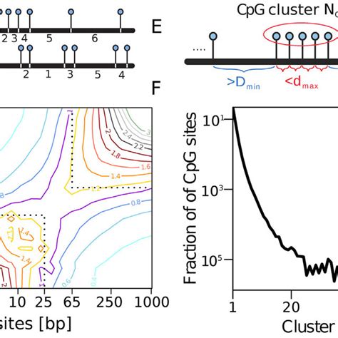 Distances Between CpG Sites In The Human Genome A Schematic Of Download Scientific Diagram