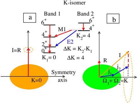 A Schematic Diagrams Showing A Collective Rotation Band Band 1 With