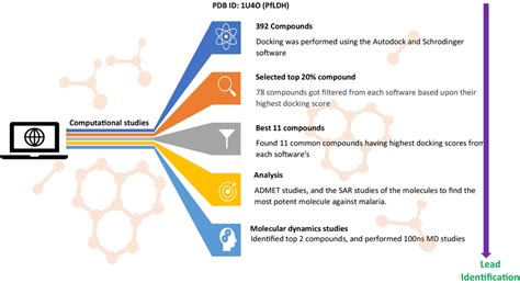 The Schematic Diagrammatic Representation Of The Workflow Of The