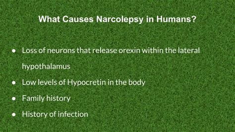 Narcolepsy Natural Treatmentpdf
