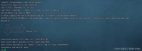 Pyspark概述及环境搭建（local模式，stand Alone模式（非ha））虚拟机中搭建local模式的spark Pyspark