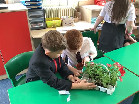 Comparative Testing In Science The Howard Primary School