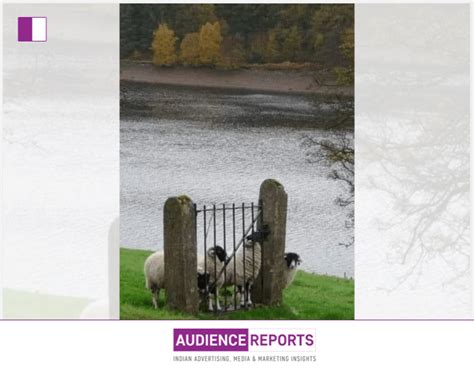 Dr Sameer Dalvi And The Power Of Breaking Free From Mental Barriers Audience Reports