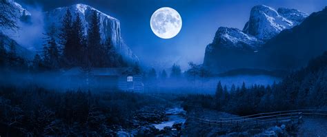 Forest Full Moon Wallpaper