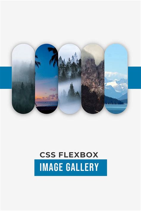 Responsive Image Gallery Using Css Flexbox