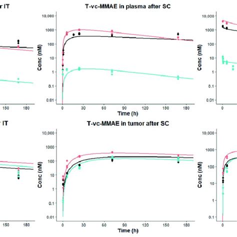 Comparison Of Model Fitted And Observed Pk Profiles Of T Vc Mmae Download Scientific Diagram