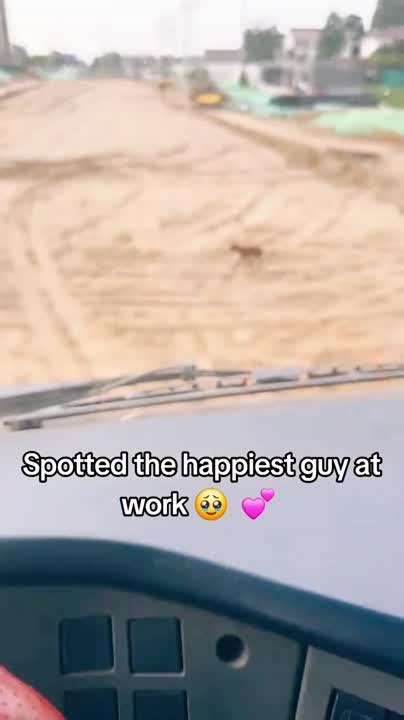 🏈tom Tenney On Linkedin May We All Be A Little More Happy