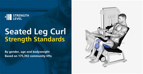 Curl Jambes Assis Standards Pour Hommes Et Femmes Kg Strength Level
