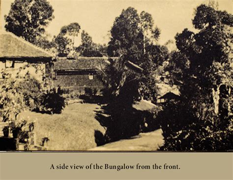 About Tree Of Life Nature Res