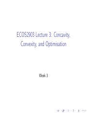 Understanding Concavity Convexity And Optimization In Economics Course Hero