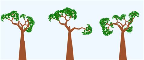 Dynamic Fractals Using WPF Transforms CodeProject