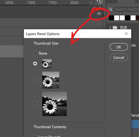 Photoshop Elements Layers Panel Smaller Than Before Cant Figure Out How To Resize Thumbnails