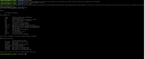 Go Kurulumu ve PATH Ayarları Linux codegenius