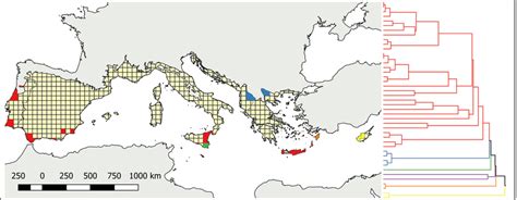 range‐weighted phylogenetic turnover among those cells found to be