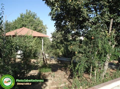 گزارش تصویری باغ خانواده سایت خبری تحلیلی شیراز ۱۴۰۰