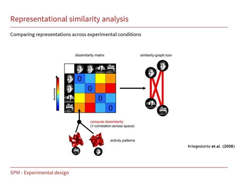 Experimental Design Mona Garvert Ppt Download