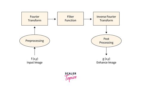 Filtering In Image Processing Scaler Topics