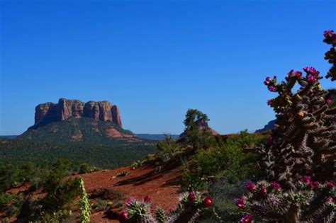 Katelyn Gist On Linkedin Hi Friends Would Anyone Be Interested In