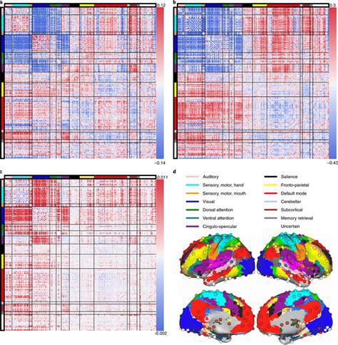 Connectivity Between Primary Sensory Motor Dorsal Attention Ventral Download Scientific