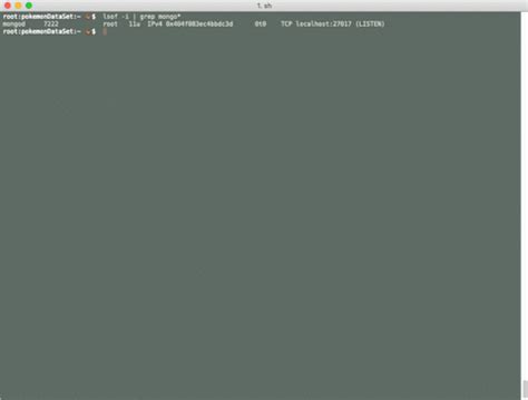 Setting Up MongoDB Locally DEV Community