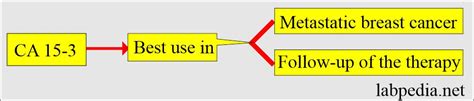 Tumor Markers Ca 15 3 Is Used To Monitor The Breast Cancer