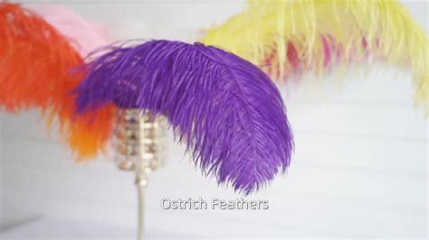 Wholesale Suppliers Large 65 70 Cm White Carnival Festival Ostrich