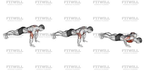 Push Up Plus Exercise Guide Video Techniques Benefits How To Muscles Worked Tips And Tricks