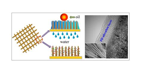 Multifunctional Polydopamine Modified Cuo Nanowire Haired Membranes For