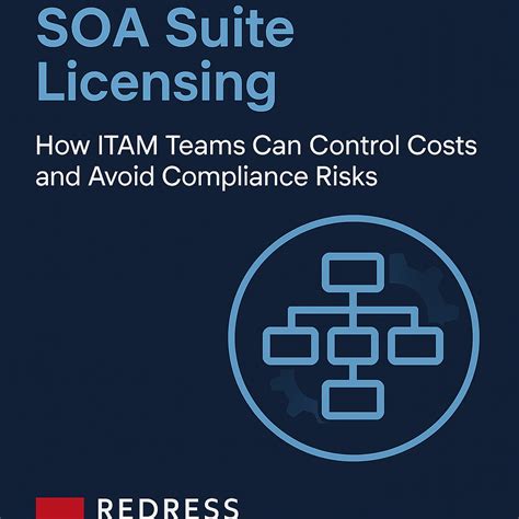 Oracle Soa Suite Licensing How Itam Teams Can Control Costs And Avoid Compliance Risks