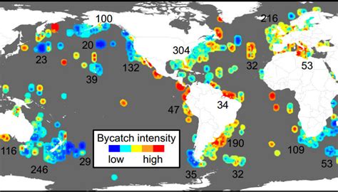 Map Outlines Global Hotpots Of Bycatch Intensity